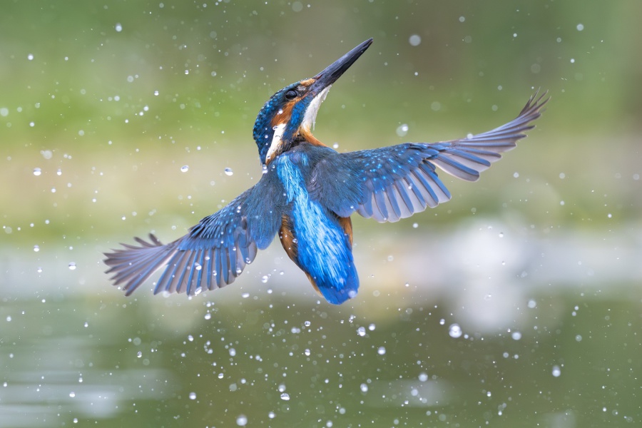 Stuart Butcher Photography - Home